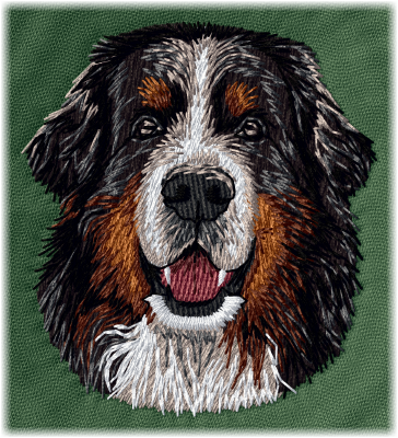 Bernese Mountain Dog 17 | Embird Embroidery Stock Designs e-Shop
