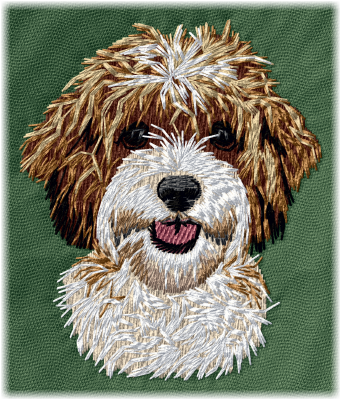 Cavachon 2 | Embird Embroidery Stock Designs e-Shop